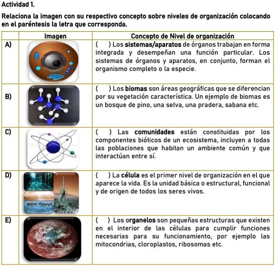 SOLVED: ayuda plis es para hoy Actividad 1. Relaciona la imagen con su ...