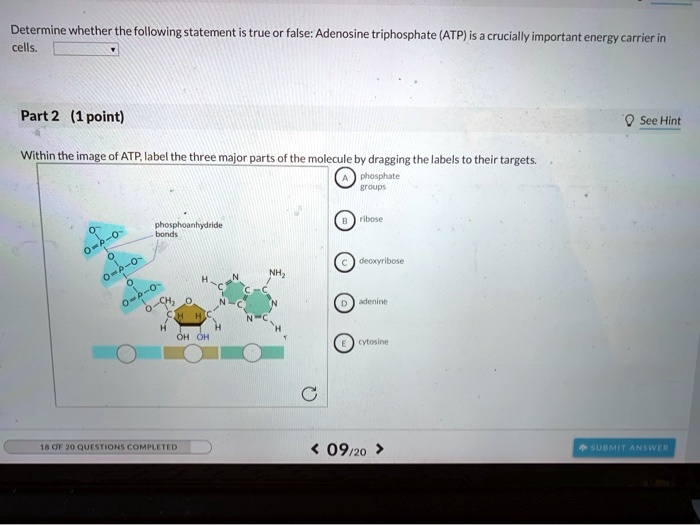 SOLVED: Determine whether the following statement is true or false: Adenosine triphosphate (ATP ...