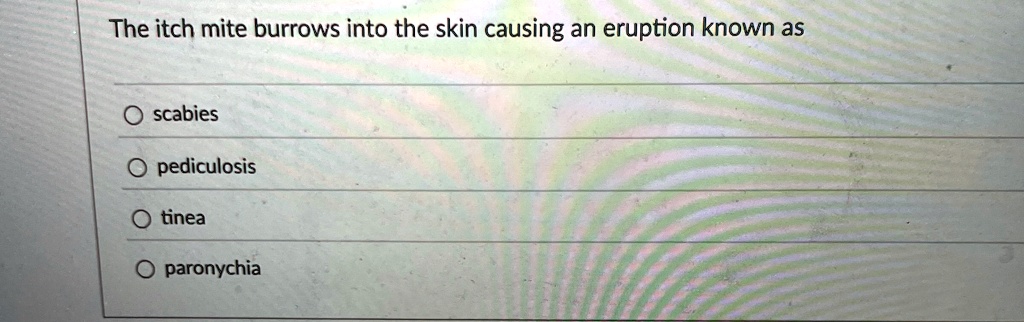 the itch mite burrows into the skin causing an eruption known as ...