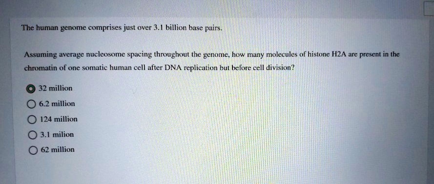 The human genome comprises just over 3.1 billion base pairs. Assuming ...