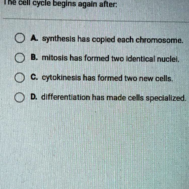 SOLVED: The cell cycle begins again after A. synthesis has copied each chromosome. B. mitosis ...
