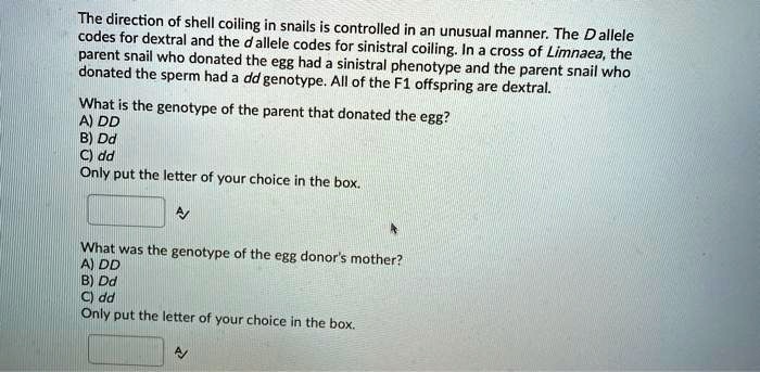 SOLVED: The direction of shell coiling in snails is controlled in an ...