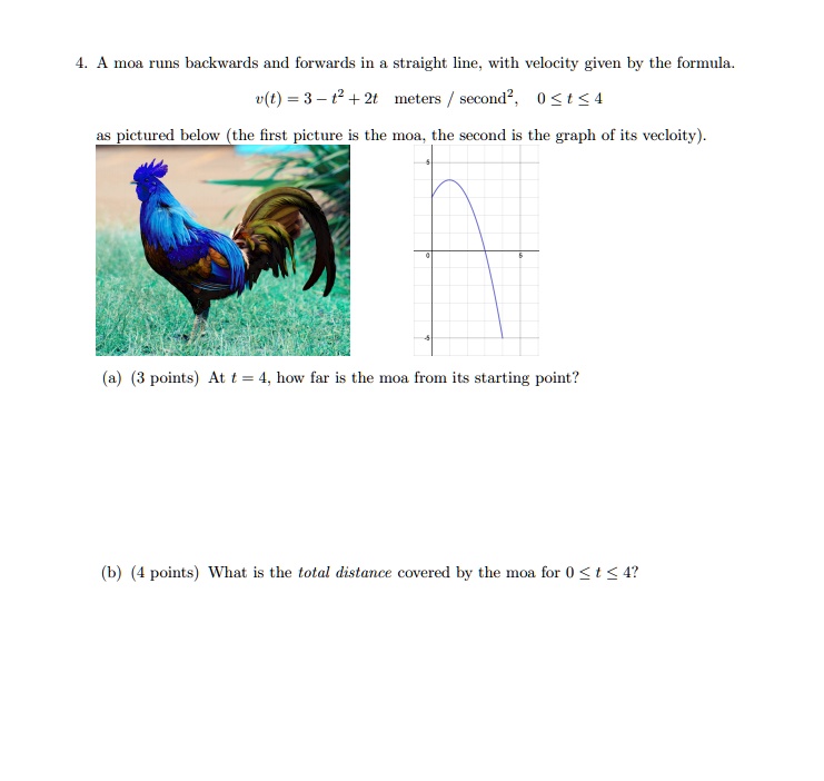 a moa runs backwards and forwards in straight kine with velocity given ...