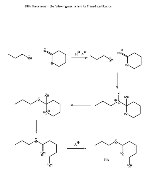 SOLVED: Fill in the arrow with the following mechanism for Trans ...