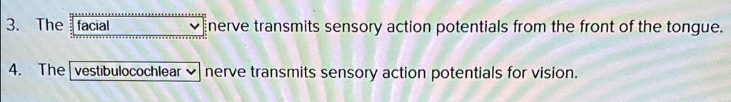 SOLVED: The facial nerve transmits sensory action potentials from the ...