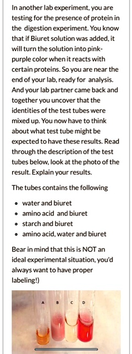 SOLVED: In another lab experiment, vou are testing for the presence of ...