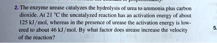 2 the enzyme urease catalyzes the hydrolysis of urea to ammonia plus ...