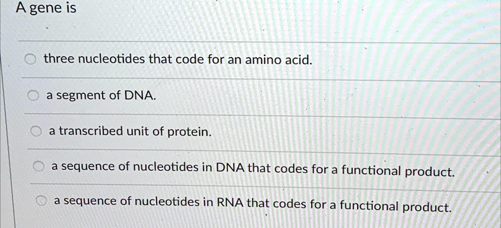 A gene is three nucleotides that code for an amino acid, a segment of ...