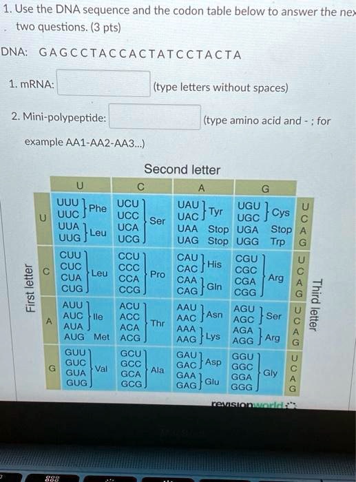 SOLVED: Use the DNA sequence and the codon table below to answer the ...