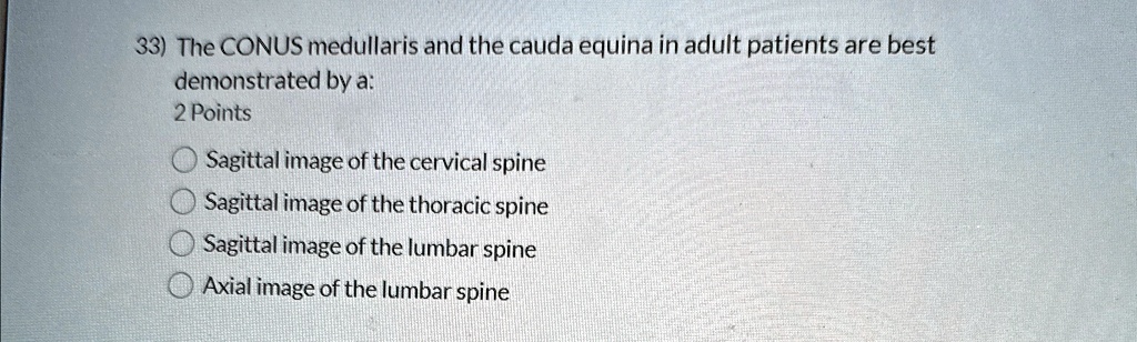 33) The CONUS medullaris and the cauda equina in adult patients are ...