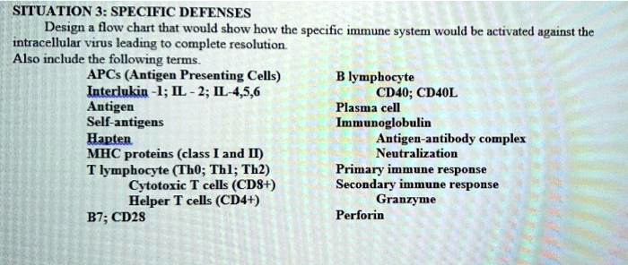 SITUATION 3: SPECIFIC DEFENSES Design a flow chart that would show how ...