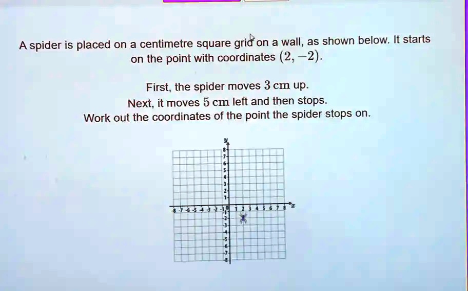 A spider is placed on a centimetre square grid on a wall, as shown ...