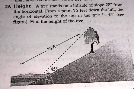 19 height tee stands on hillside of slope 282 from the horizontal from ...