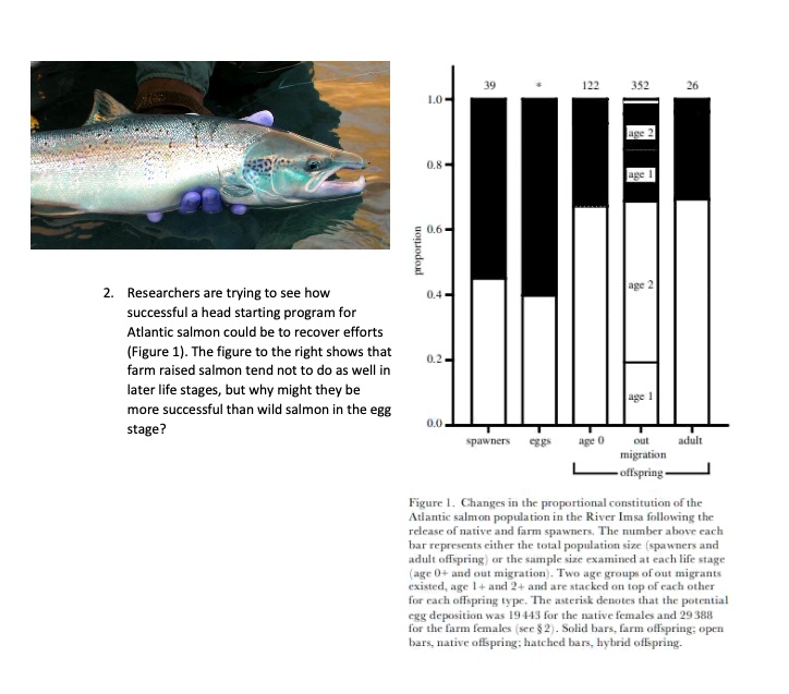 2. Researchers are trying to see how successful a head starting program ...