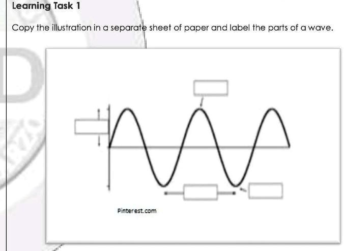 Solved Learning Task 1 Copy The Illustration On A Separate Sheet Of Paper And Label The Parts