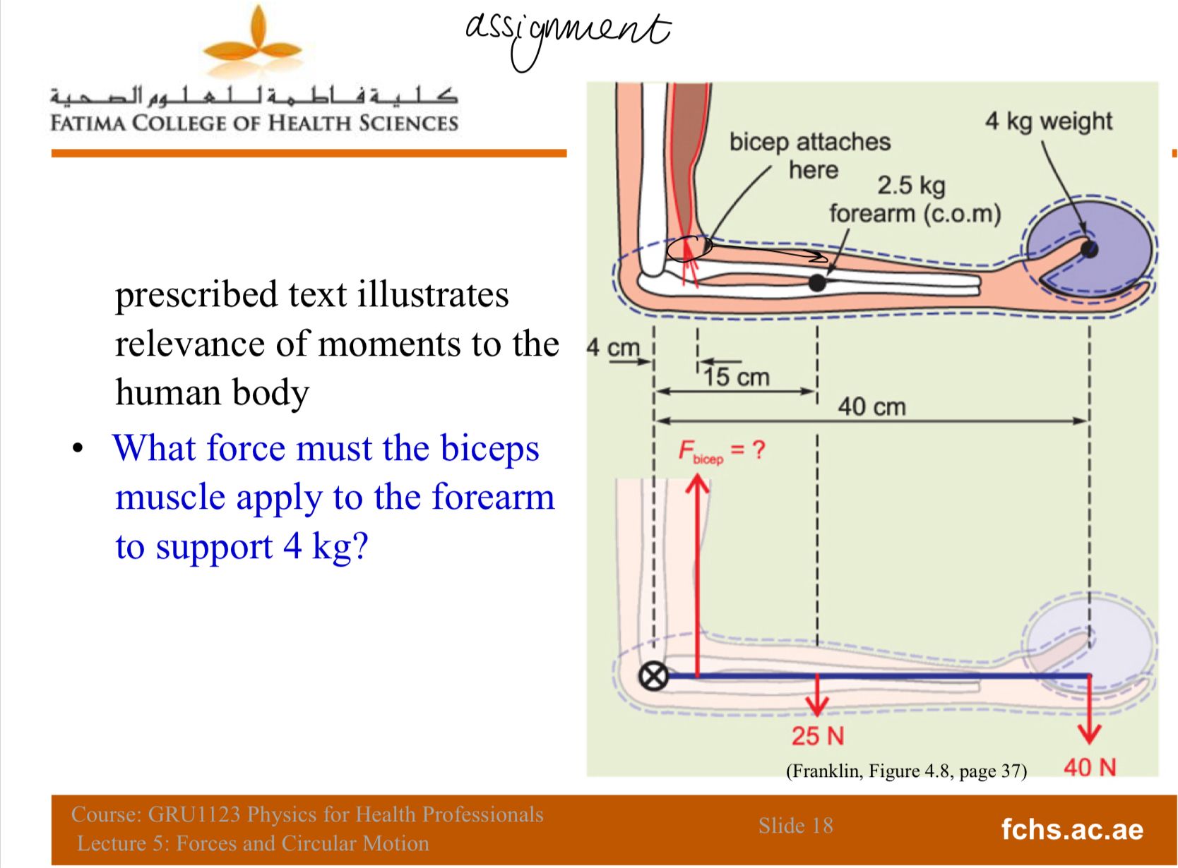 SOLVED: assignment FATIMA COLLEGE OF HEALTH SCIENCES prescribed text ...