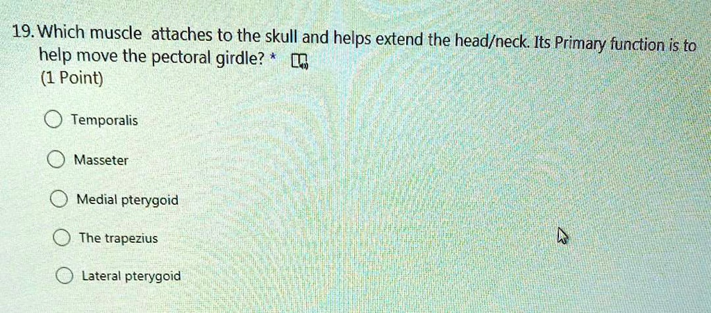 19. Which muscle attaches to the skull and helps extend the head/neck ...