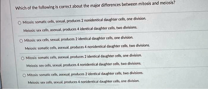 Solved Which Of The Following Is Correct About The Major Differences Between Mitosis And 