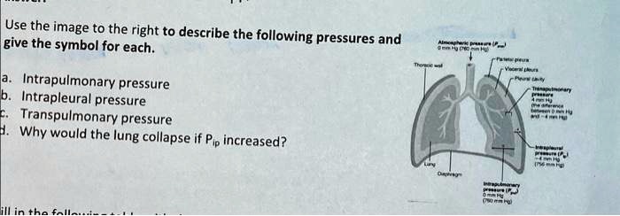 Use the image to the right to describe the following pressures and give ...