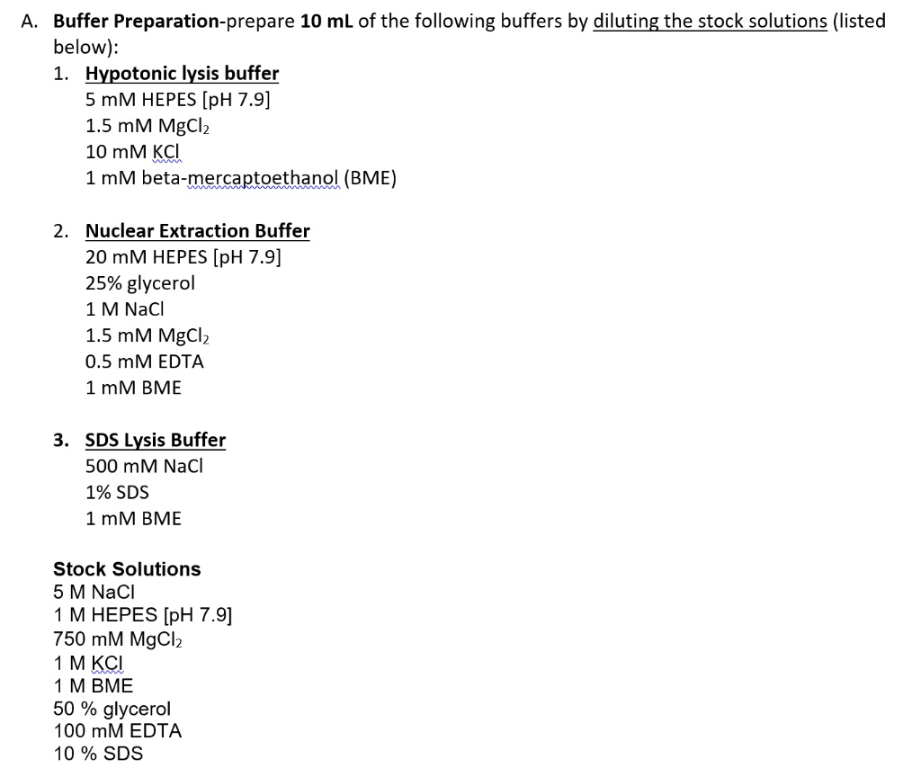 Hepes Lysis Buffer Recipe | Bryont Blog
