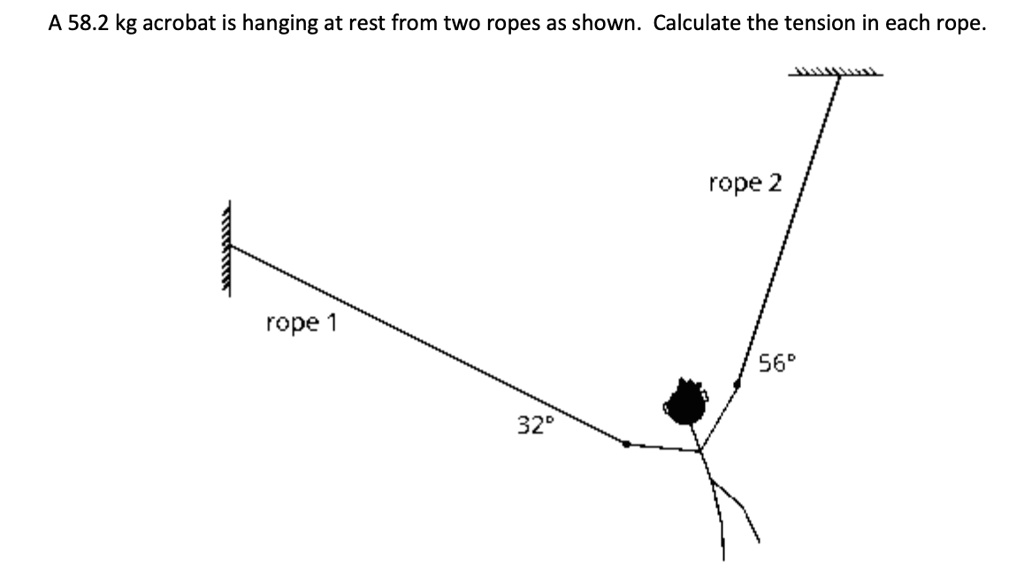 A 58.2 kg acrobat is hanging at rest from two ropes as shown. Calculate ...