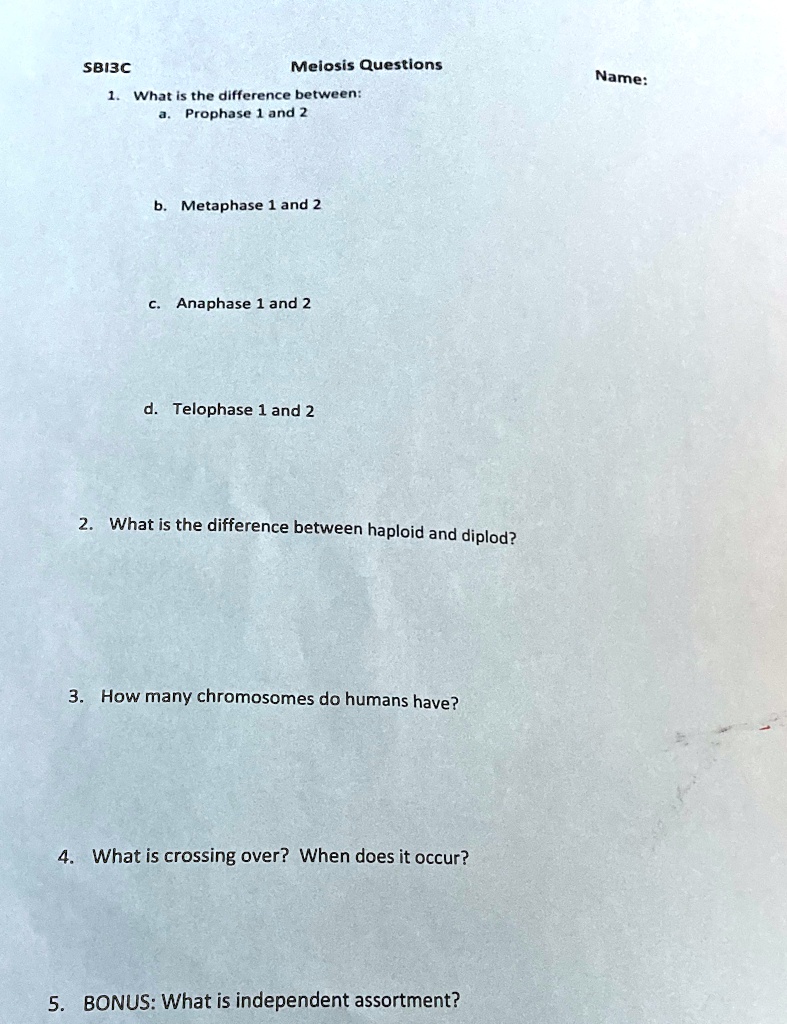 Meiosis Questions Name: SBI3C 1. What is the difference between: a ...