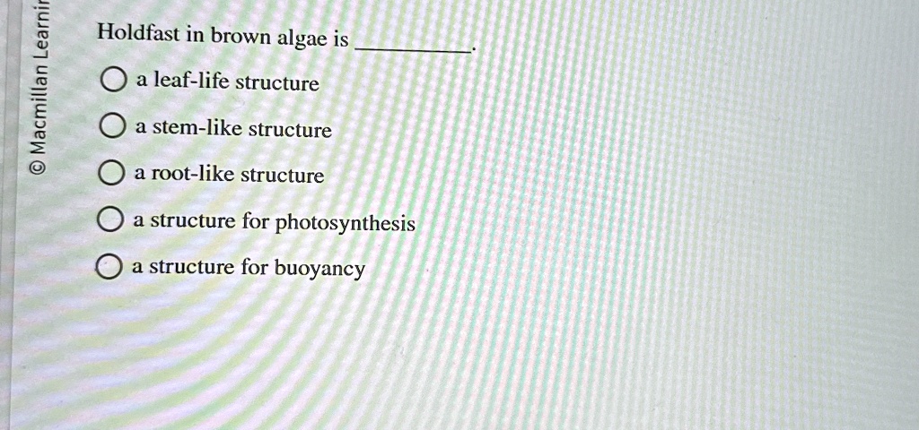 Holdfast in brown algae is . a leaf-life structure a stem-like ...