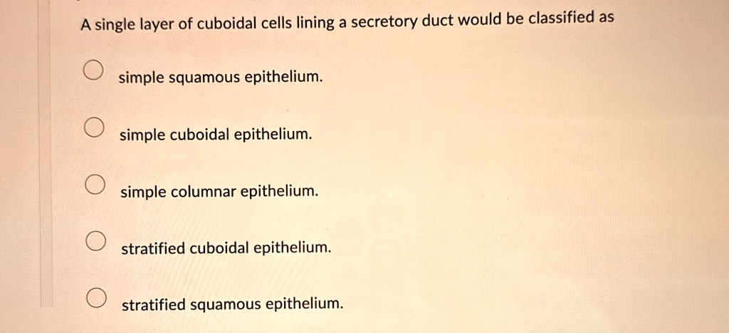 a single layer of cuboidal cells lining a secretory duct would be classified as simple squamous ...
