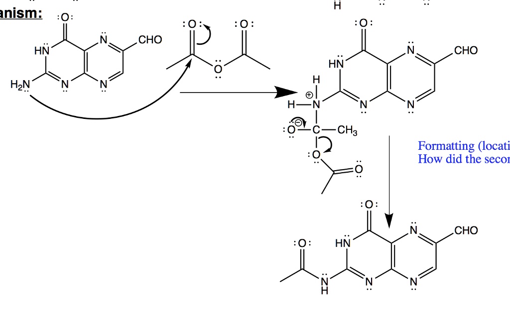 SOLVED: NISM: CH3 HN CH3 HN H2N H2N CH3 Formatting (location): How did ...