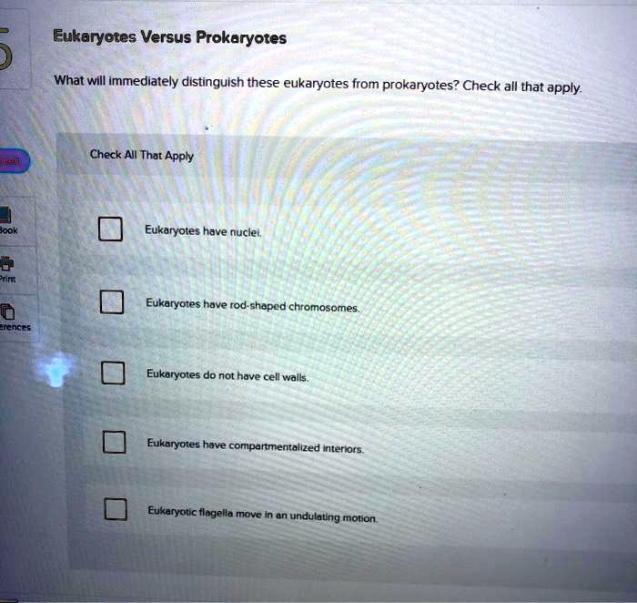 Eukaryotes Versus Prokaryotes What will immediately...