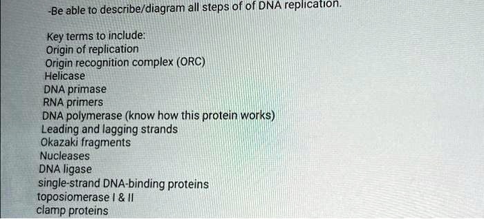 -Be able to describe/diagram all steps of of DNA replication. Key terms to include: Origin of ...