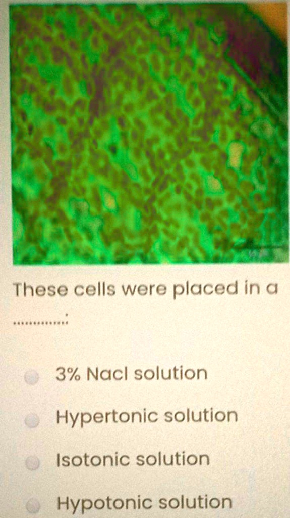 SOLVED: These cells were placed In a 3% Nacl solution Hypertonic ...