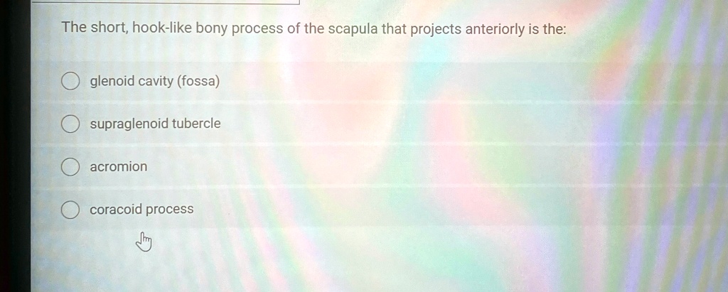 The short, hook-like bony process of the scapula that projects ...
