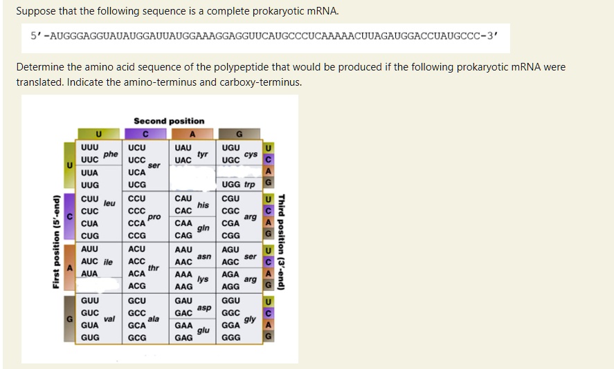 SOLVED: Suppose that the following sequence is complete prokaryotic ...