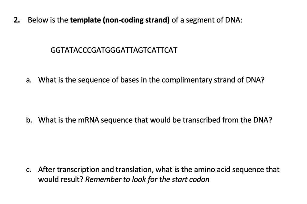 SOLVED:2 Below is the template (non-coding strand) of a segment of DNA ...