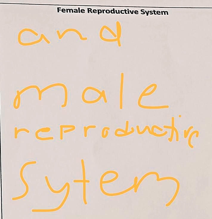 SOLVED: Draw and Label the parts of the male and female reproductive ...