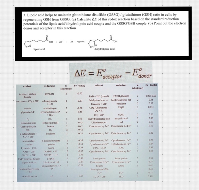 3 lipoic acid helps maintain glutathione disulfide gssg glutathione gsh ...