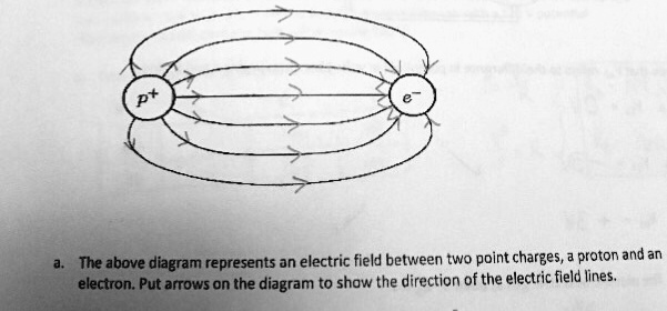 SOLVED: The above diagram represents an electric field between two point charges, proton and an ...