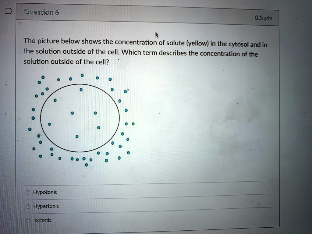 SOLVED: Question 6 0.5 pts The picture below shows the concentration of ...