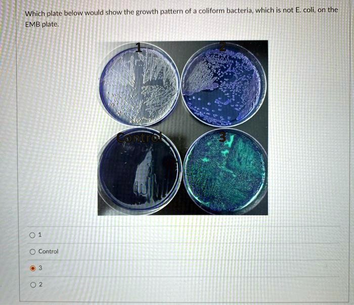 Which plate below would show the growth pattern of a coliform bacteria ...
