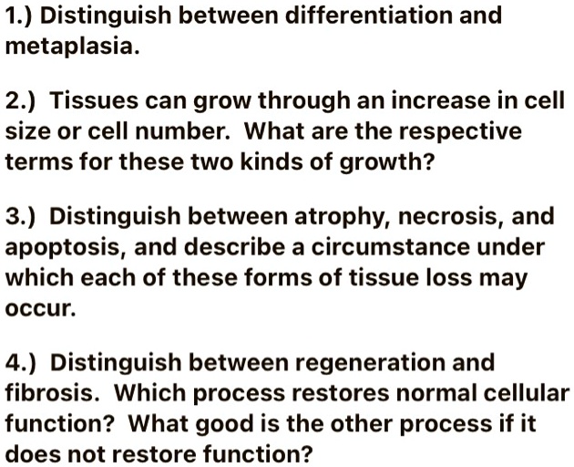 SOLVED:1.) Distinguish between differentiation and metaplasia:#N#2 ...