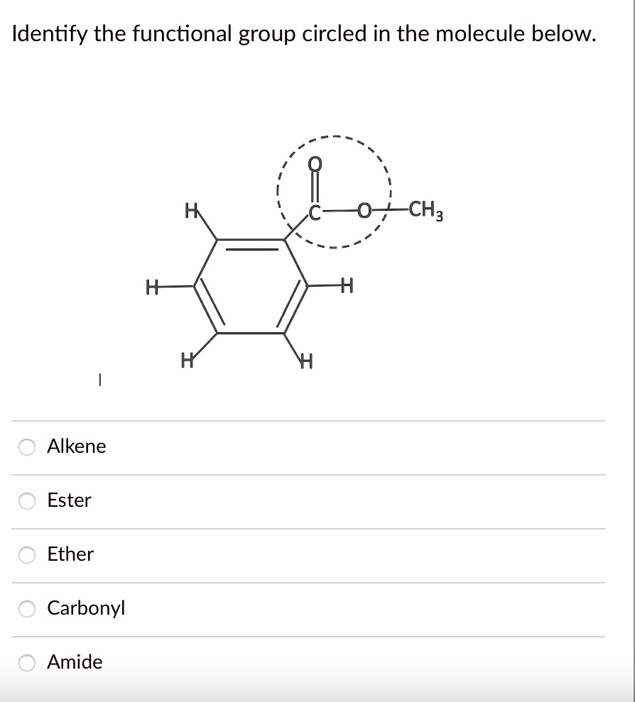 SOLVED: Identify the functional group circled in the molecule below: CH3 Alkene Ester Ether ...
