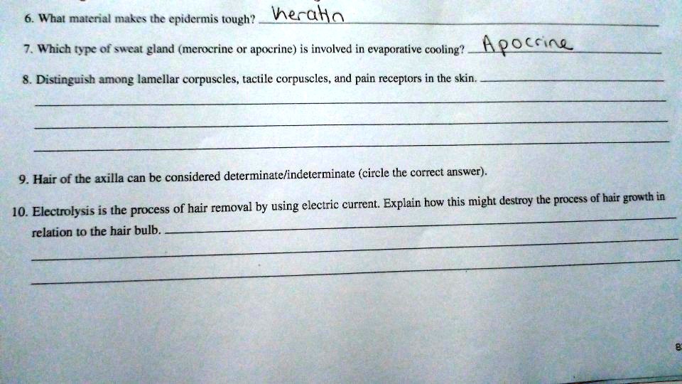 SOLVED: Wmhal matenal make ` the epidermis tough? heraHa Which WR of ...
