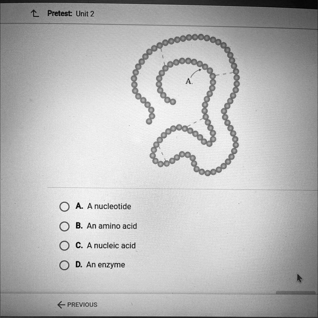 SOLVED The Diagram Below Shows The Structure Of A Protein What Is The solved-the-diagram-below-shows-the-structure-of-a-protein-what-is-the