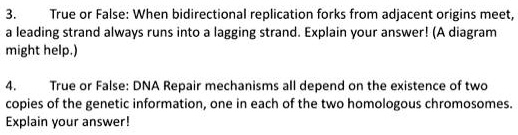 true or false when bidirectional replication forks from adjacent ...