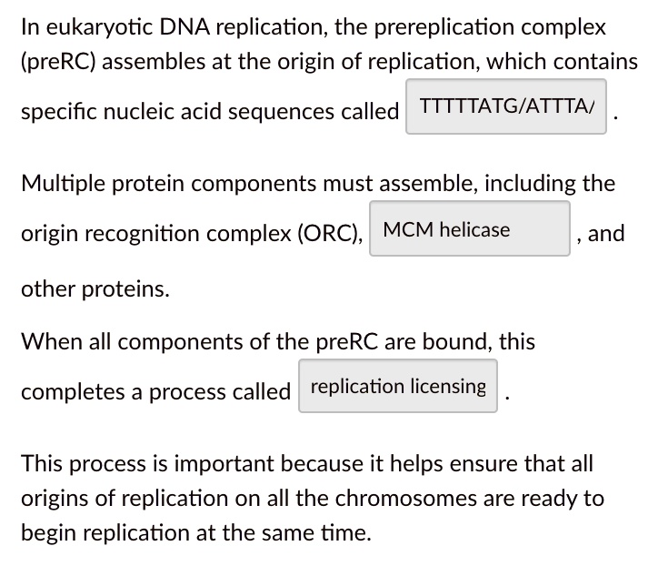 in eukaryotic dna replication the prereplication complex prerc ...