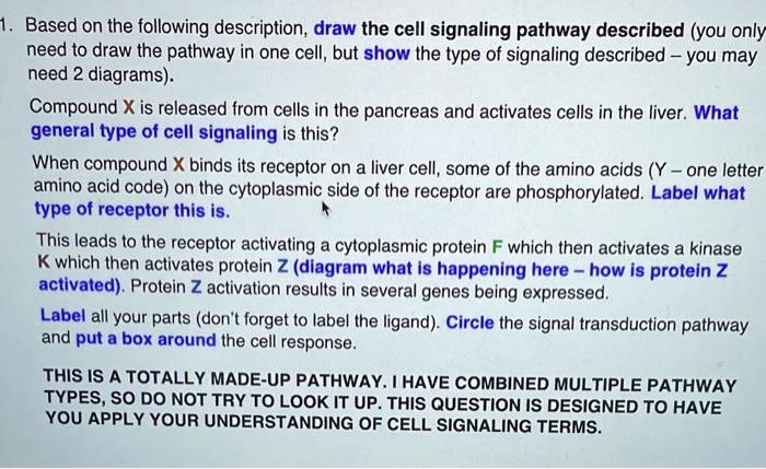 1. Based on the following description, draw the cell signaling pathway described (you only need ...