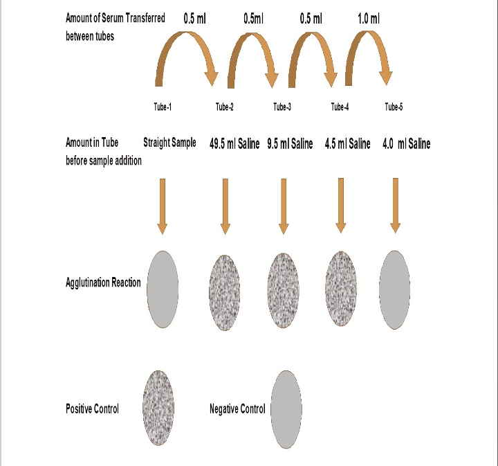 SOLVED: The figure below is a plasma titration to measure IgM anti ...