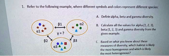 SOLVED: Text: Refer to the following example; where different symbols ...