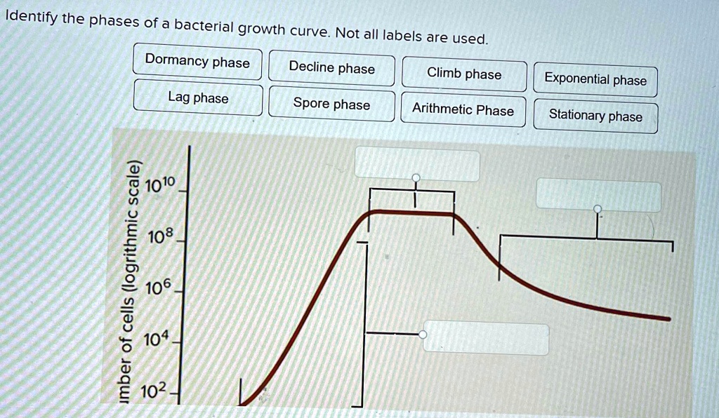 Identify the phases of a bacterial growth curve. Not all labels are ...